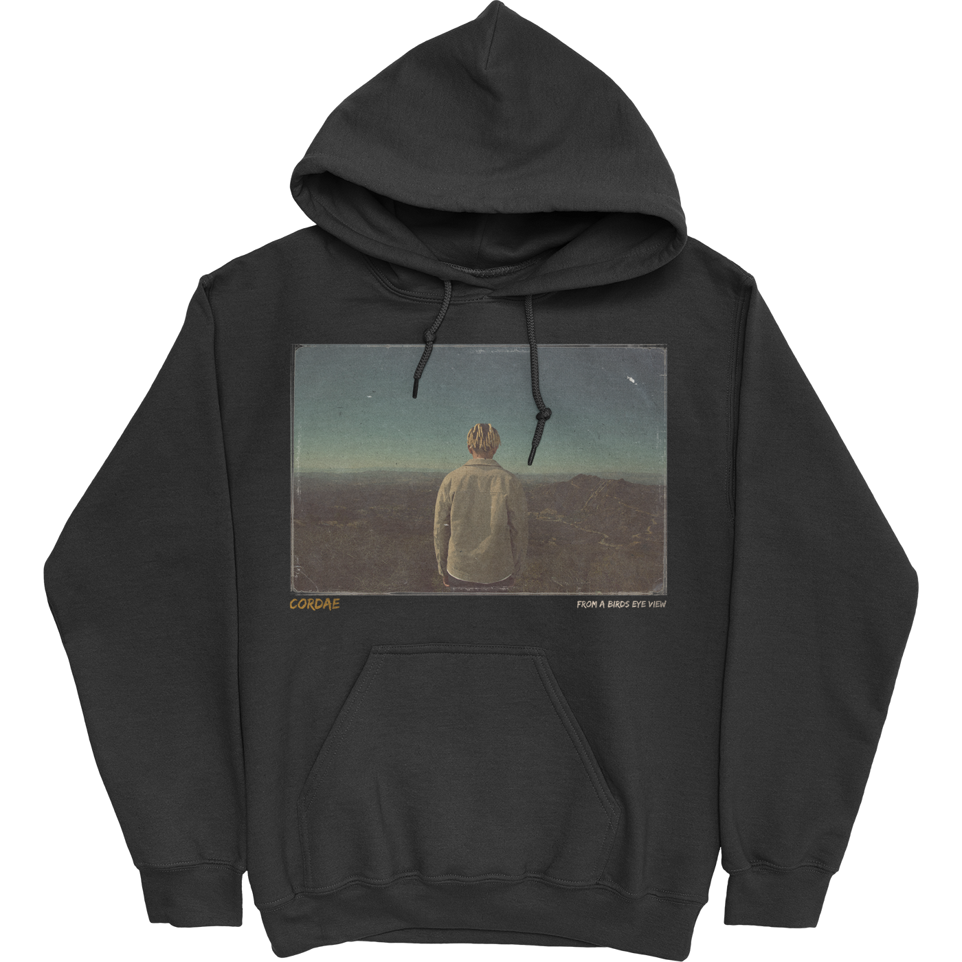 From A Birds Eye View Hoodie – Warner Music Store