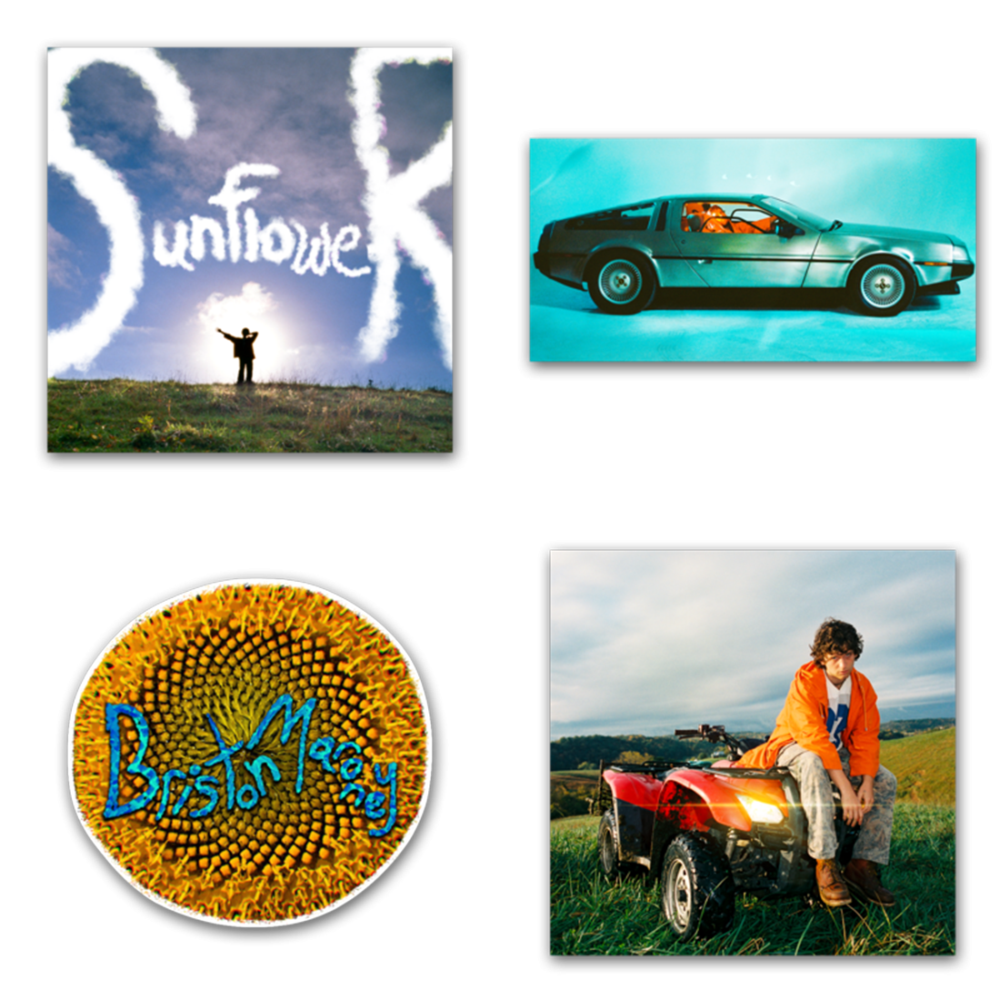 Sunflower Sticker Set – Warner Music Store